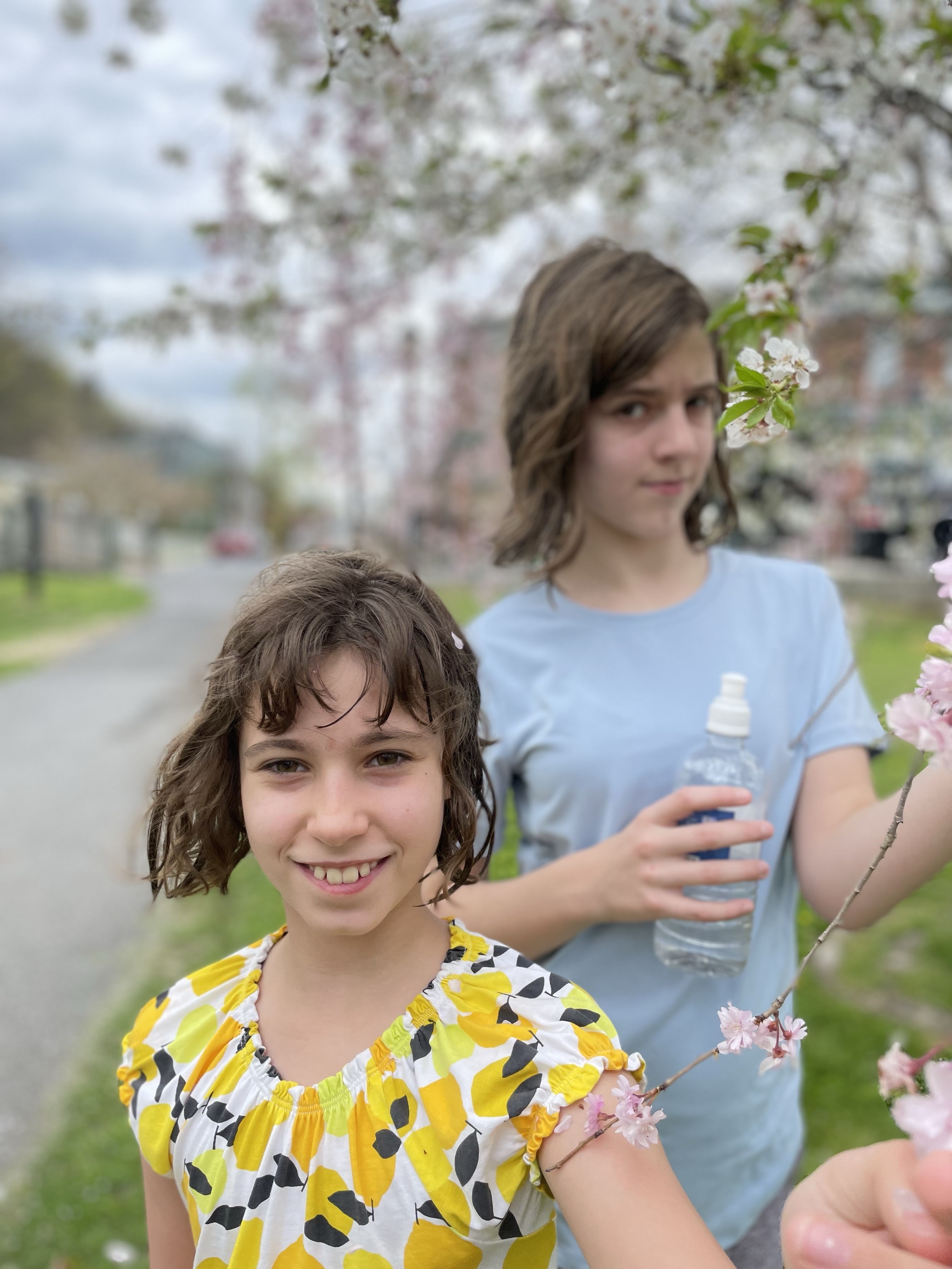 Spring Break Field Trip-Berkeley Springs WV – Bungalow Poppies Homeschool